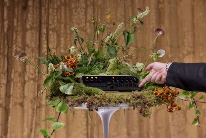 The Orchid, Telepathic Instruments’ cult synth chord engine, looks set ...