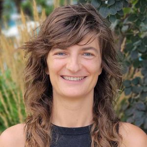 growing verbena from seed: and expert advice on how to sow