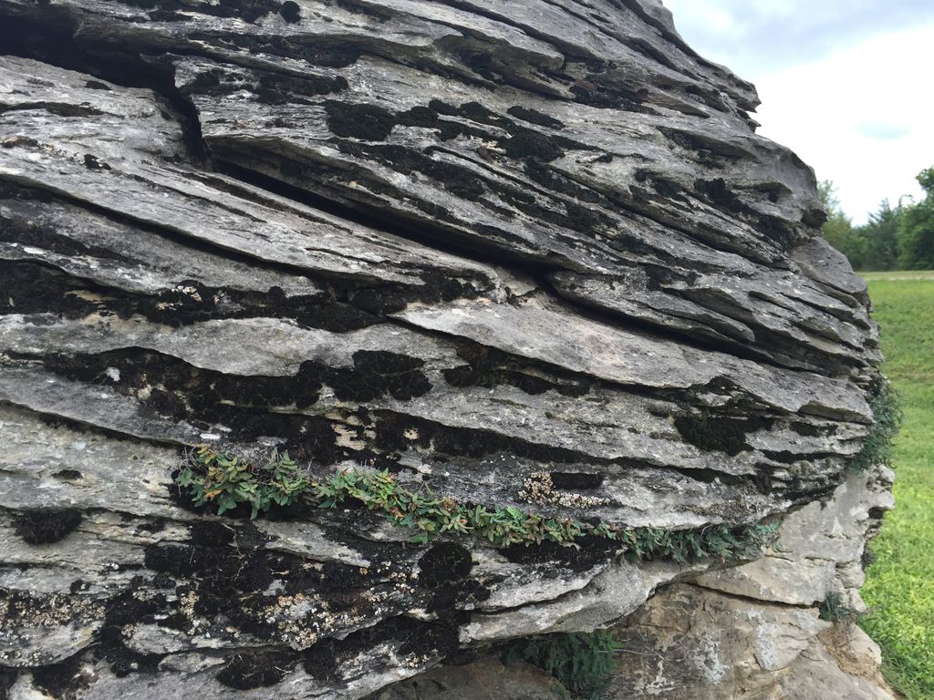 Rock City: Sandstone Concretions in Kansas | Live Science