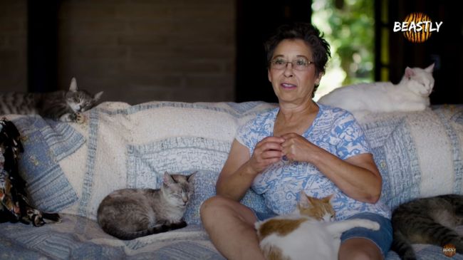 This incredible lady gave up her home to live with over 1000 cats ...