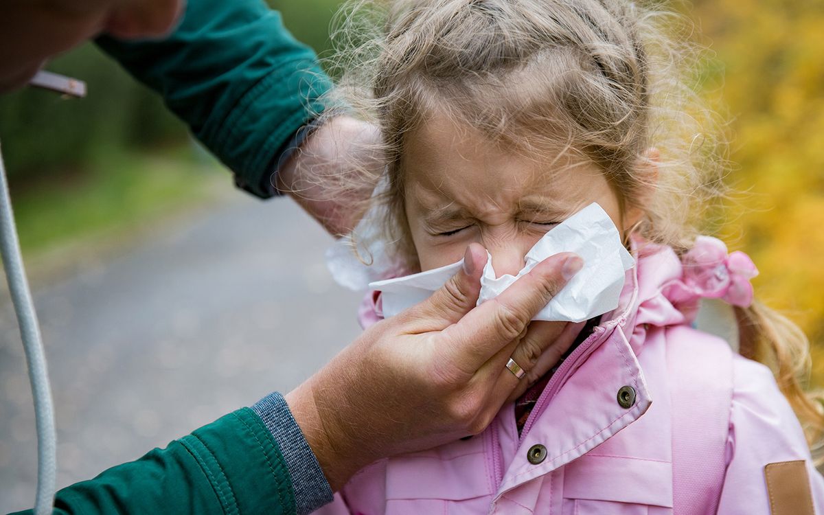 The 12 Biggest Mysteries of Fall — Solved! | Live Science