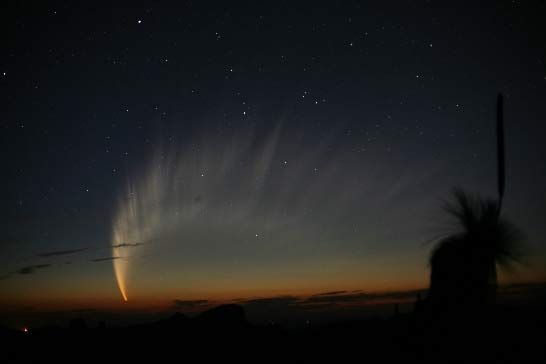 Photos: Spectacular Comet Views from Earth and Space | Space