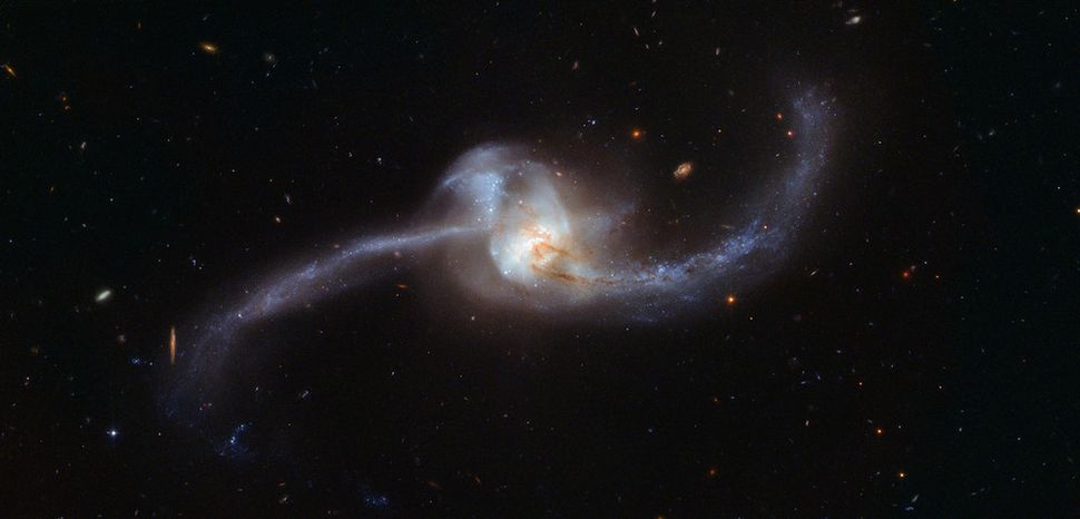 This Dwarf Galaxy Is the Smallest Cannibal in the Universe (So Far ...