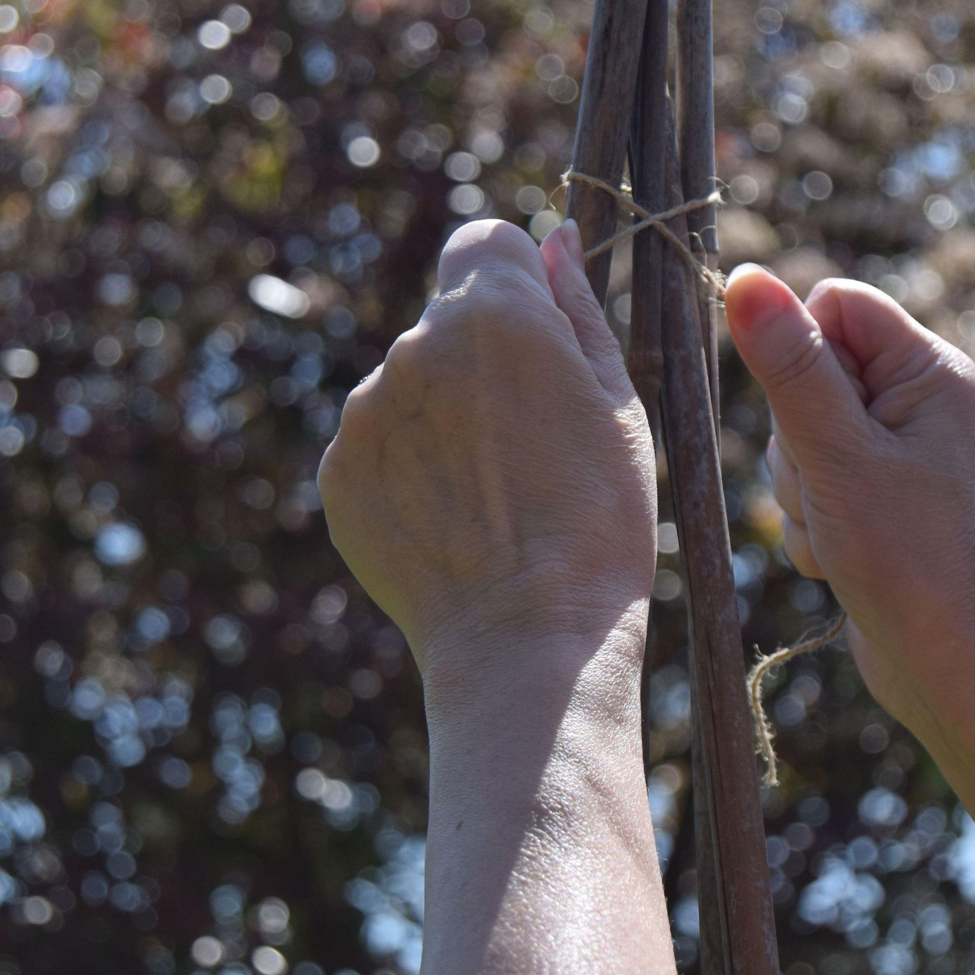 How to make a wigwam plant support for vertical planting | Ideal Home