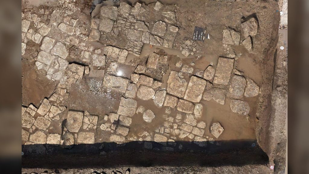 Ancient Egyptian pharaoh-sphinx statues unearthed at sun temple | Live ...