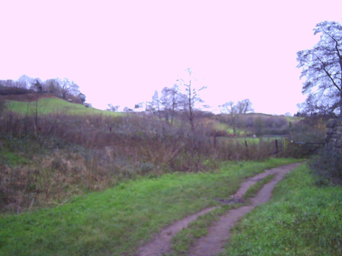 Mutrain X10 Digital Camera review: is this the worst camera ever ...