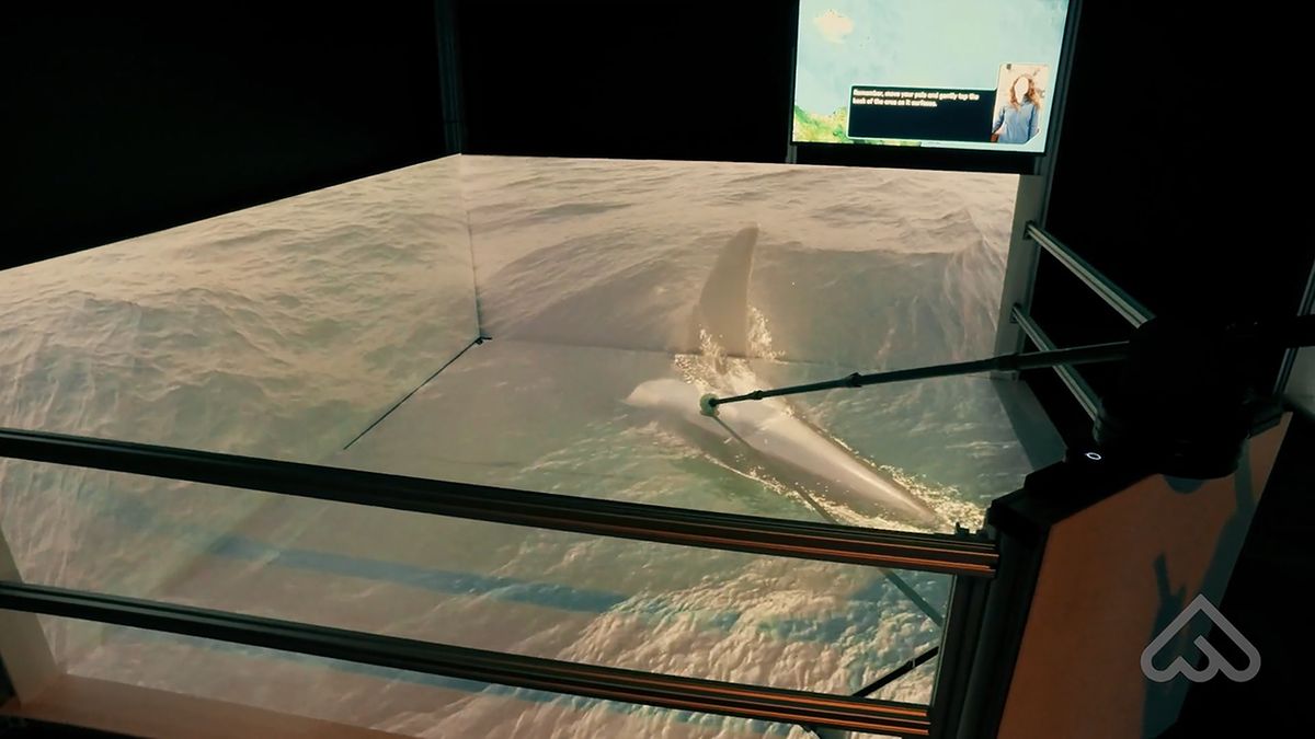 Here's How Arizona Science Center Is Taking Visitors Under the Sea ...