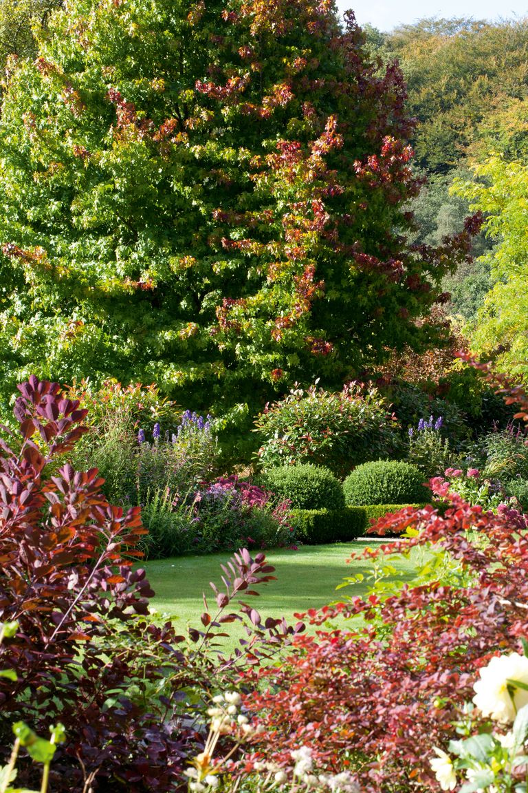 Real garden: a colourful autumn garden | Real Homes