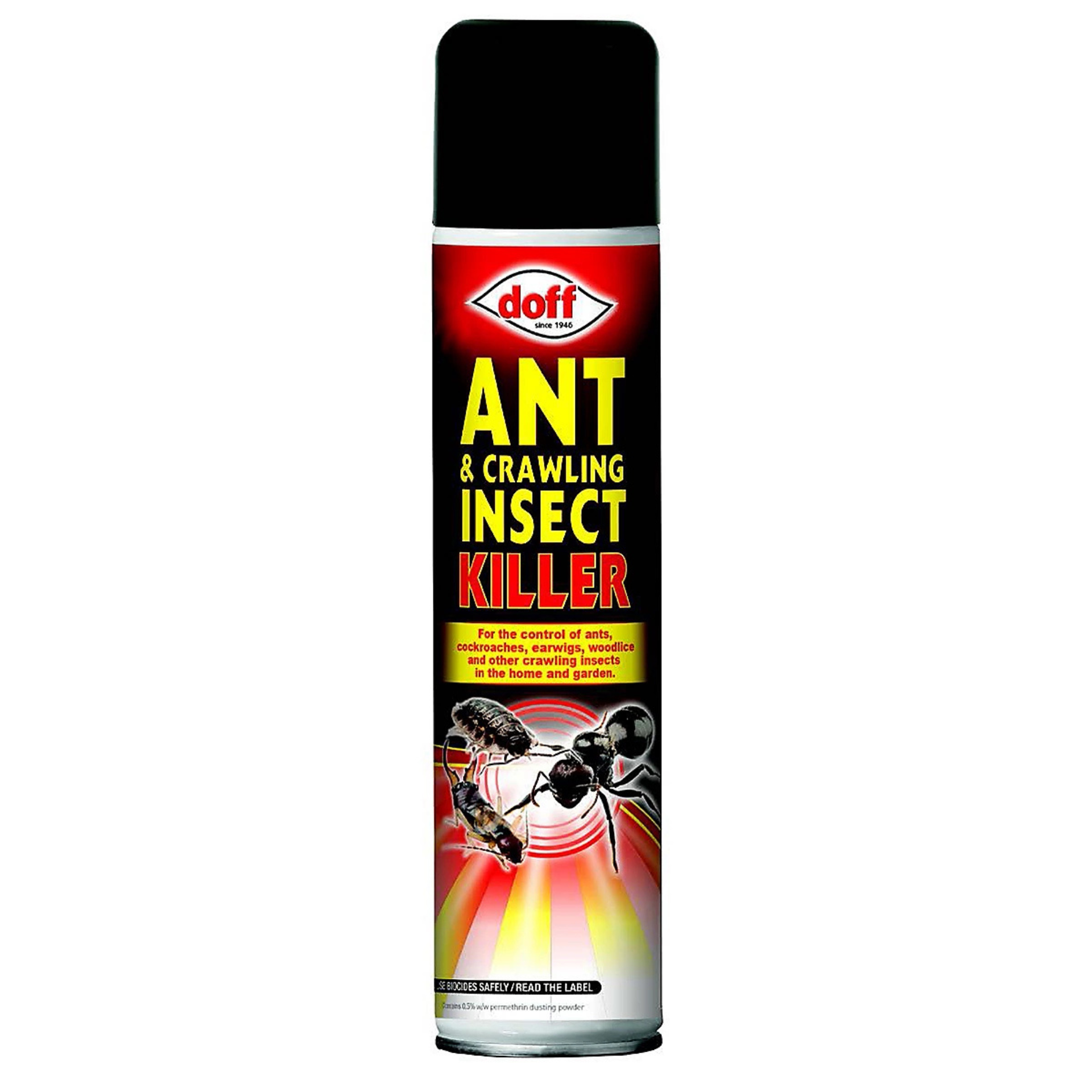 Does salt kill ants? Yes, but this is why you should avoid it | Ideal Home