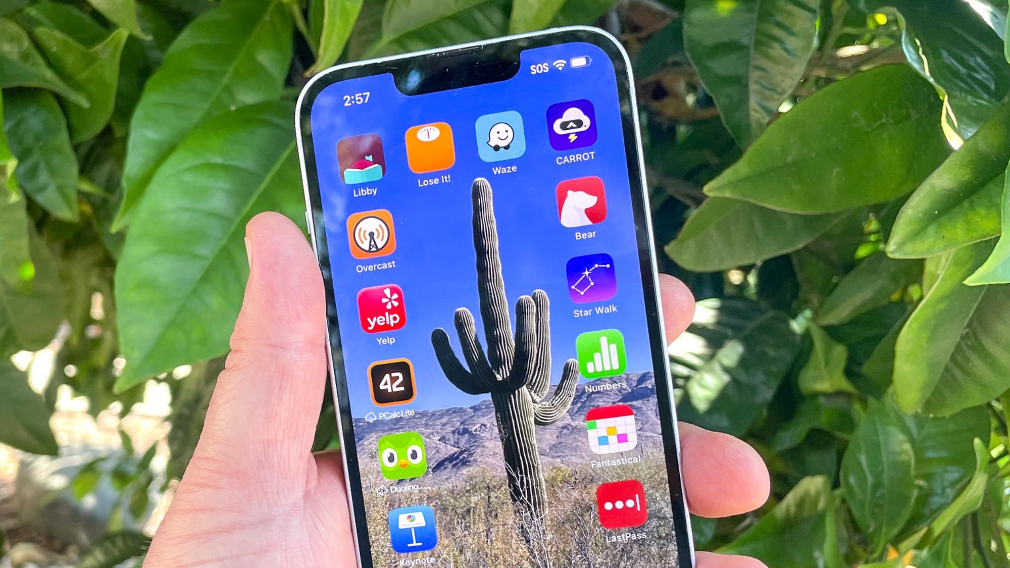How to customize your iPhone home screen layout | Tom's Guide