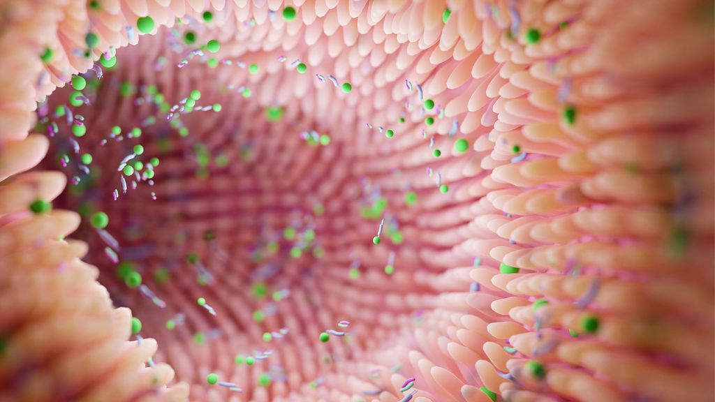 FDA approved a 1st-of-its-kind treatment made from human poop. What ...