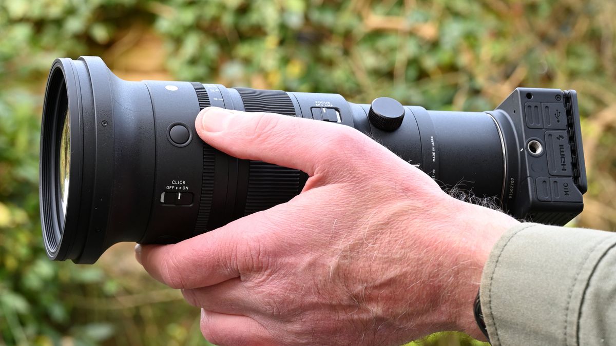 Sigma 500mm F5.6 DG DN OS Sports review: he ain’t heavy, he’s a super ...