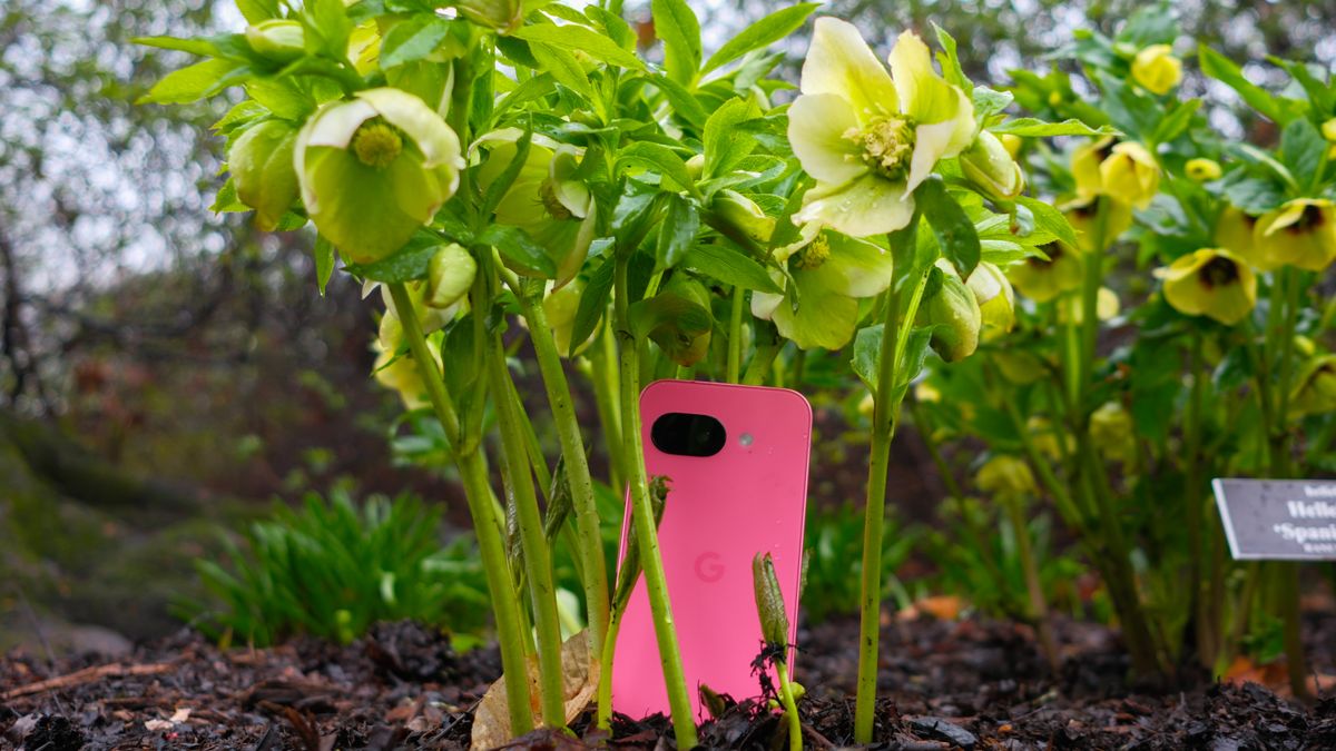 Google Pixel 9a: análisis en profundidad - Un gran teléfono, pero ...