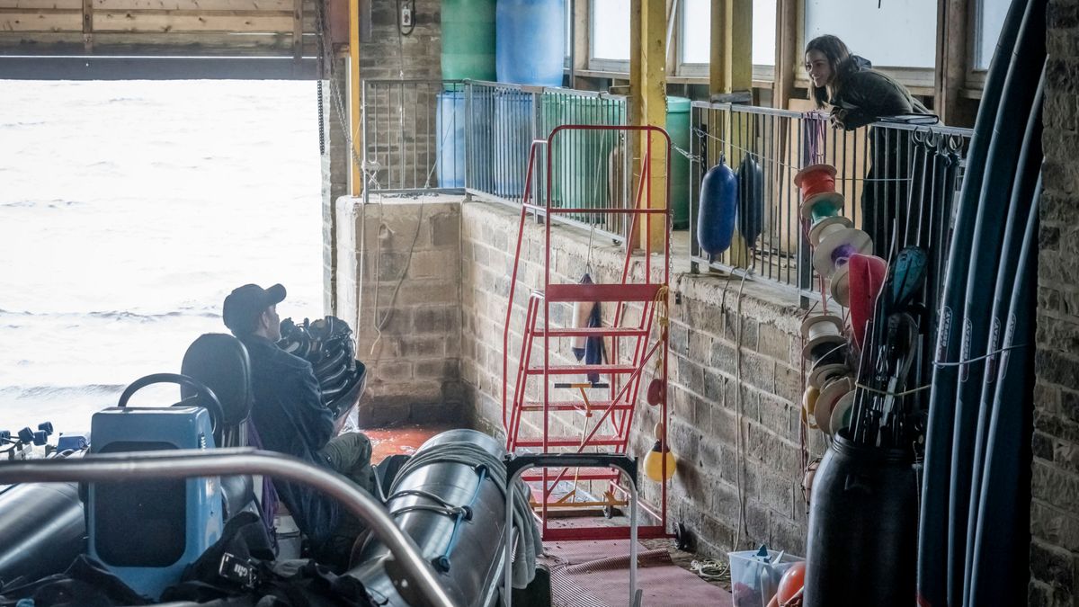 The Jetty episode 2 recap: who is the body in the lake? | What to Watch