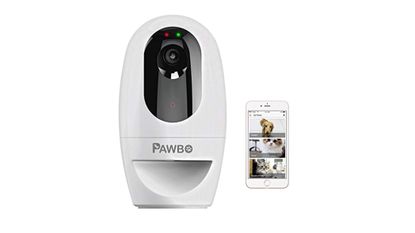 Best pet camera 2022: see what your furry friend gets up to | Real Homes