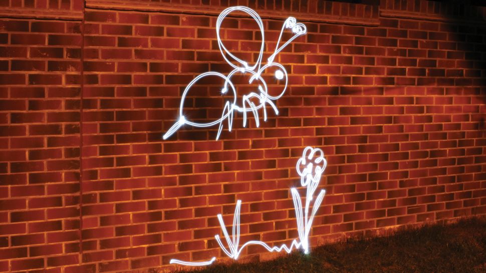 26 camera effects – from A to Z | Digital Camera World