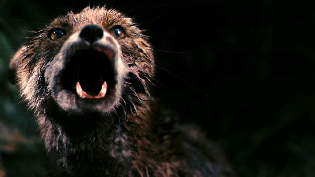 19 Horror Movies That Meaningfully Address Grief | Cinemablend