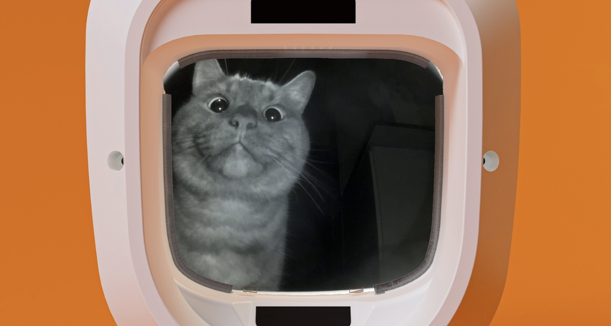 11 weirdest gadgets of CES 2024 — AI handhelds, flying cars, smart binoculars and more | Tom's Guide