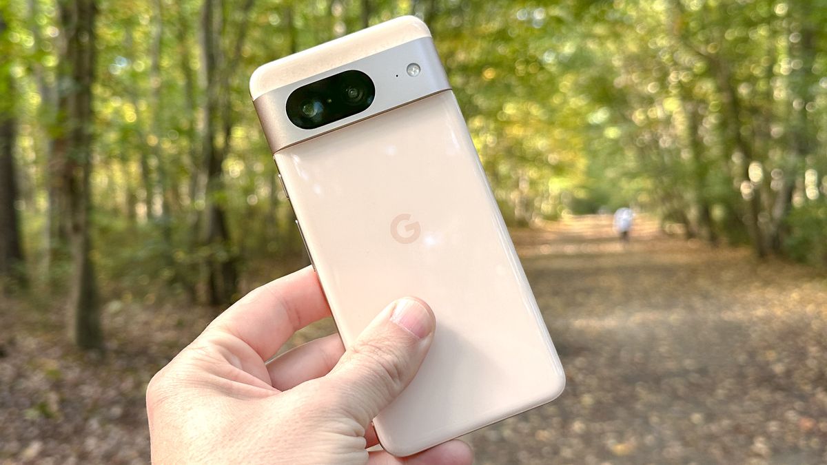 Google Pixels in 2024 — Pixel 9, Pixel 8a, Pixel Watch 3 and more | Tom ...