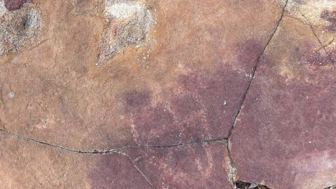 9,000-year-old rock art discovered among dinosaur footprints in Brazil ...