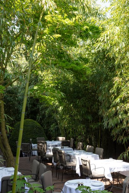 Ladbroke Hall opens a new art-infused outdoor dining space | Wallpaper*