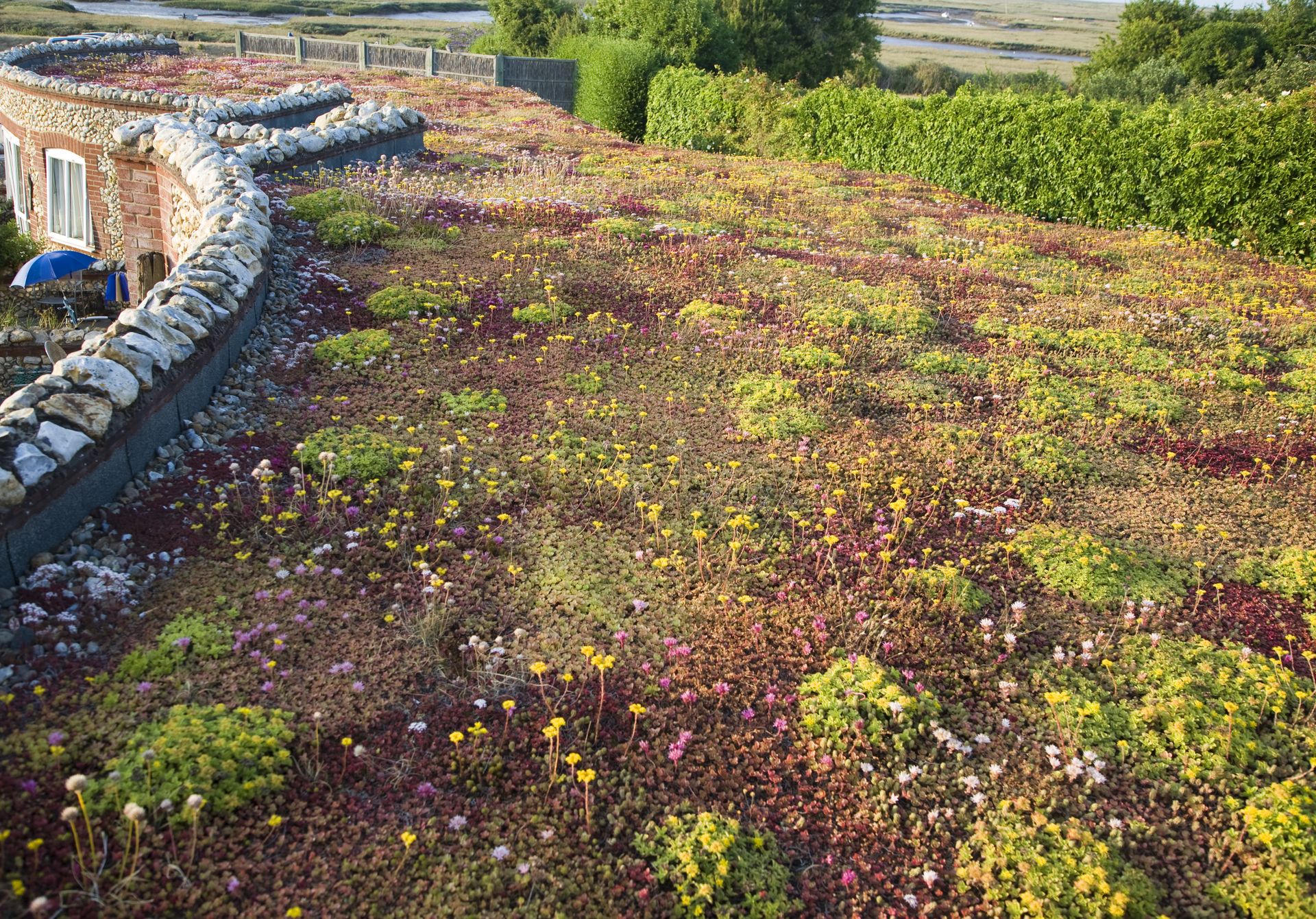 Green roofs: an expert guide to growing a living roof | Homes & Gardens