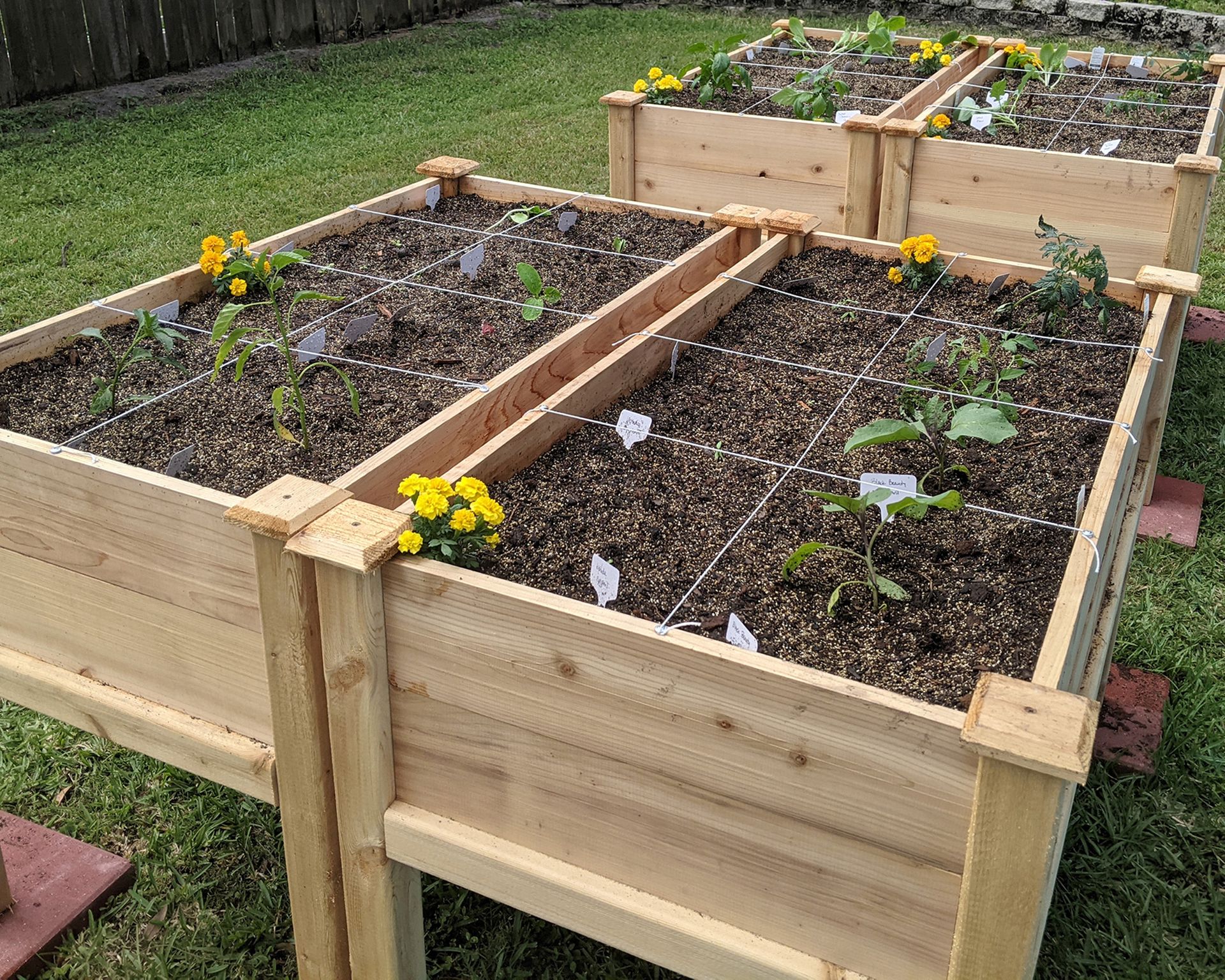 Grow A Square-Foot Vegetable Garden With This Year-Long Plan ...