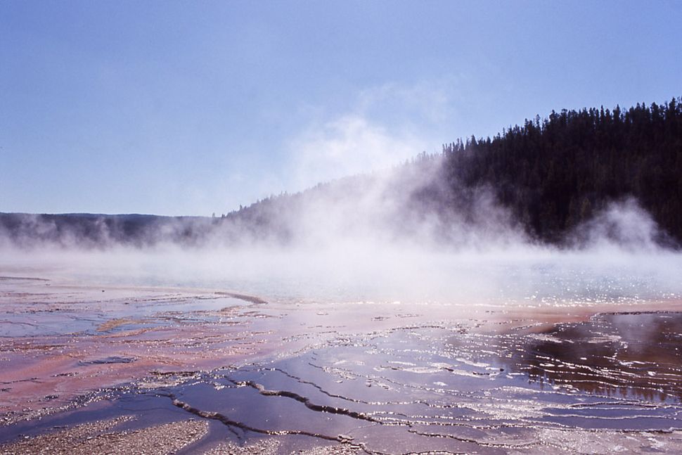Rainbow Basin: Photos of Yellowstone's Colorful Grand Prismatic Hot ...