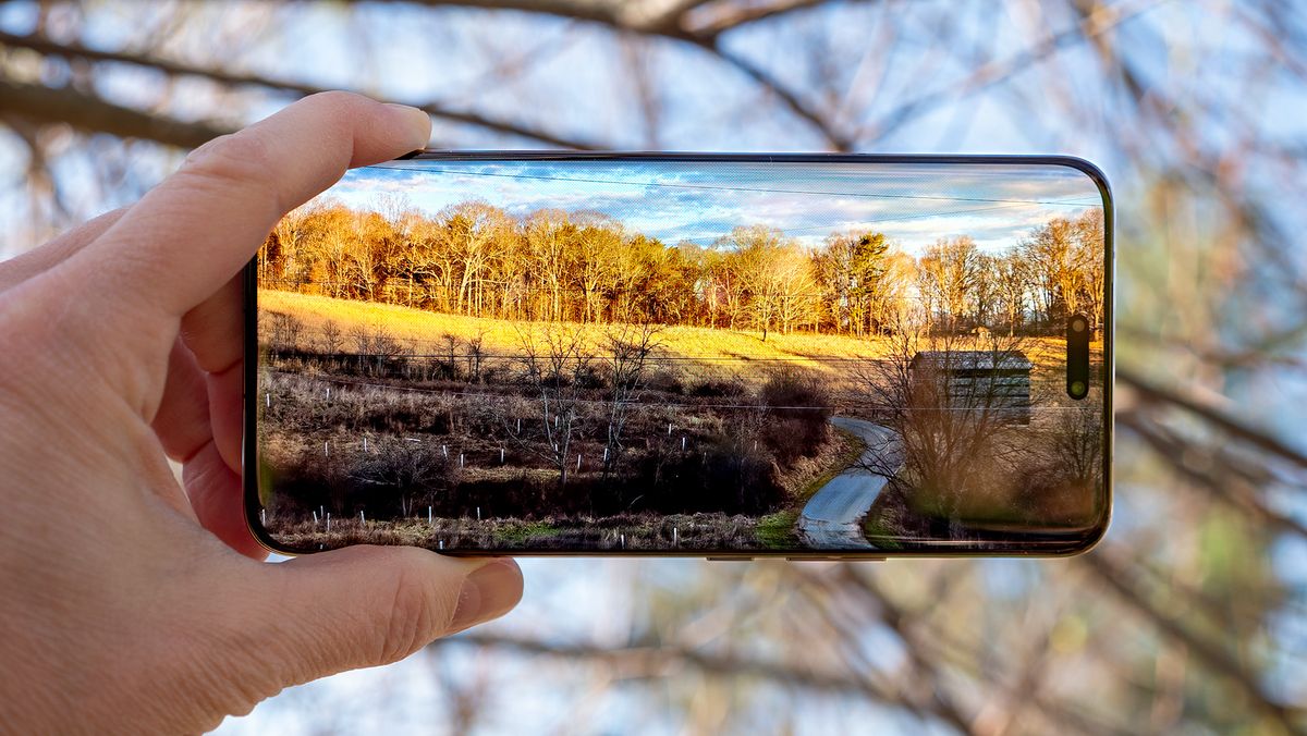 Honor Magic 6 Pro camera review | Android Central