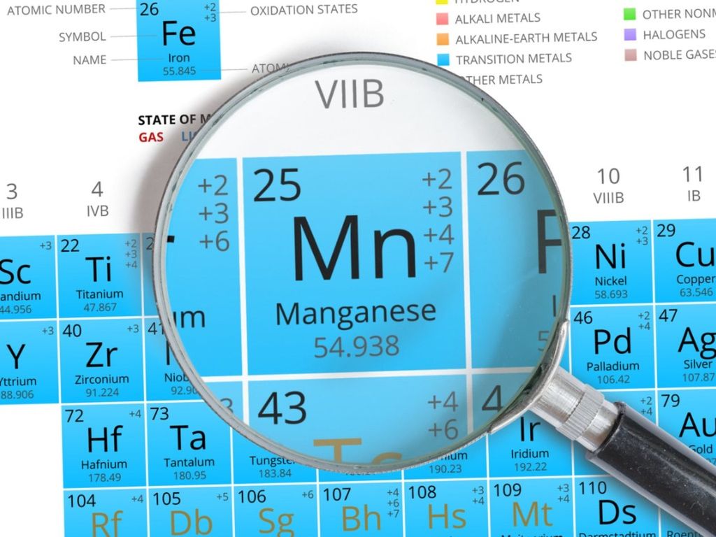 What Is Manganese: Learn About Symptoms Of Manganese Deficiency ...
