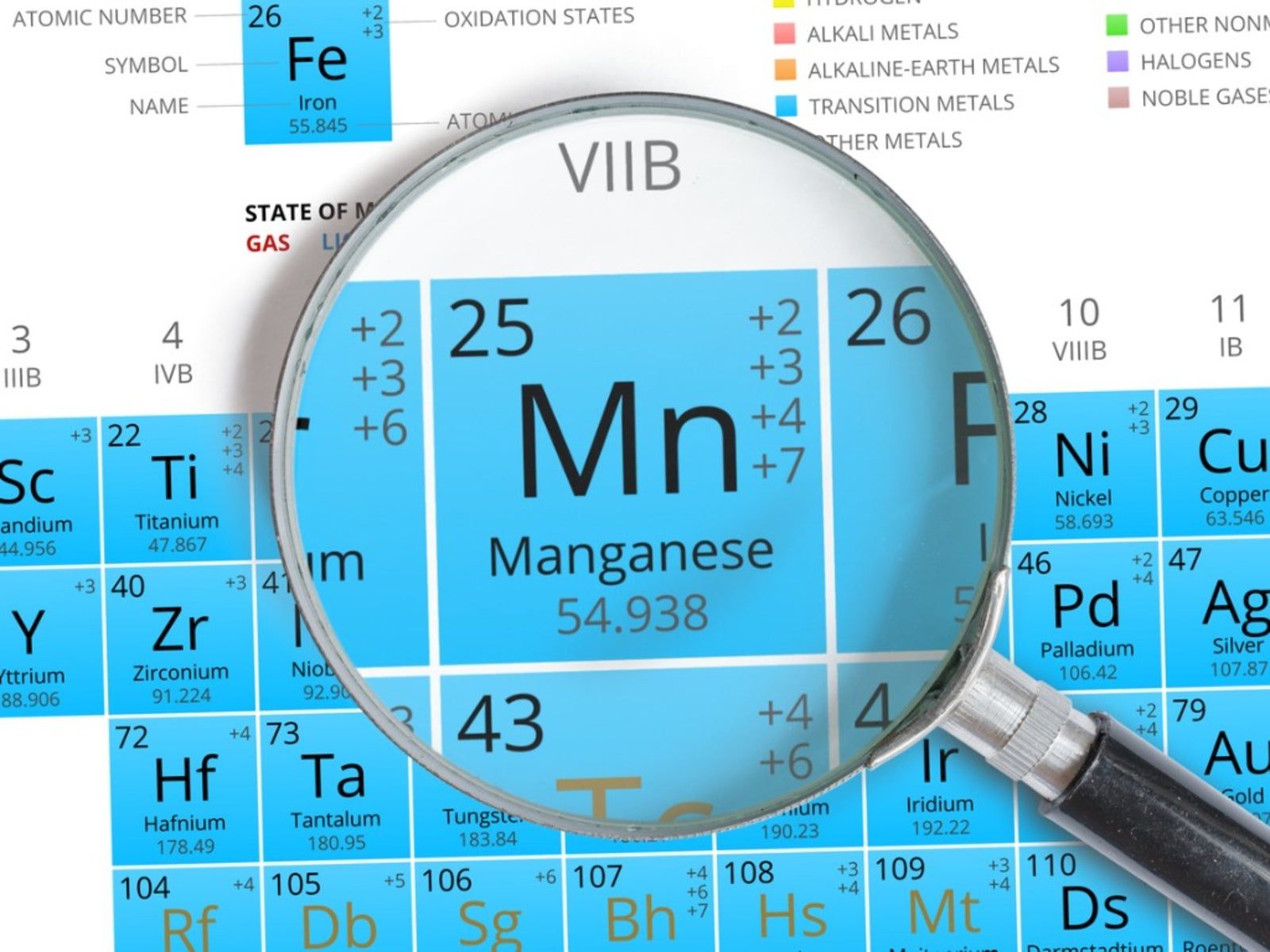 What Is Manganese: Learn About Symptoms Of Manganese Deficiency ...