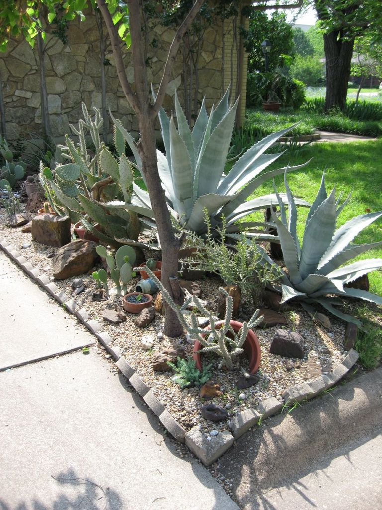 Using Xeriscaping For A Water-Efficient Garden | Gardening Know How