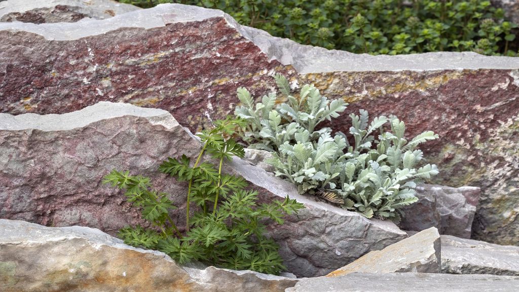 How to clean landscaping rocks: simple methods that work | Homes and ...