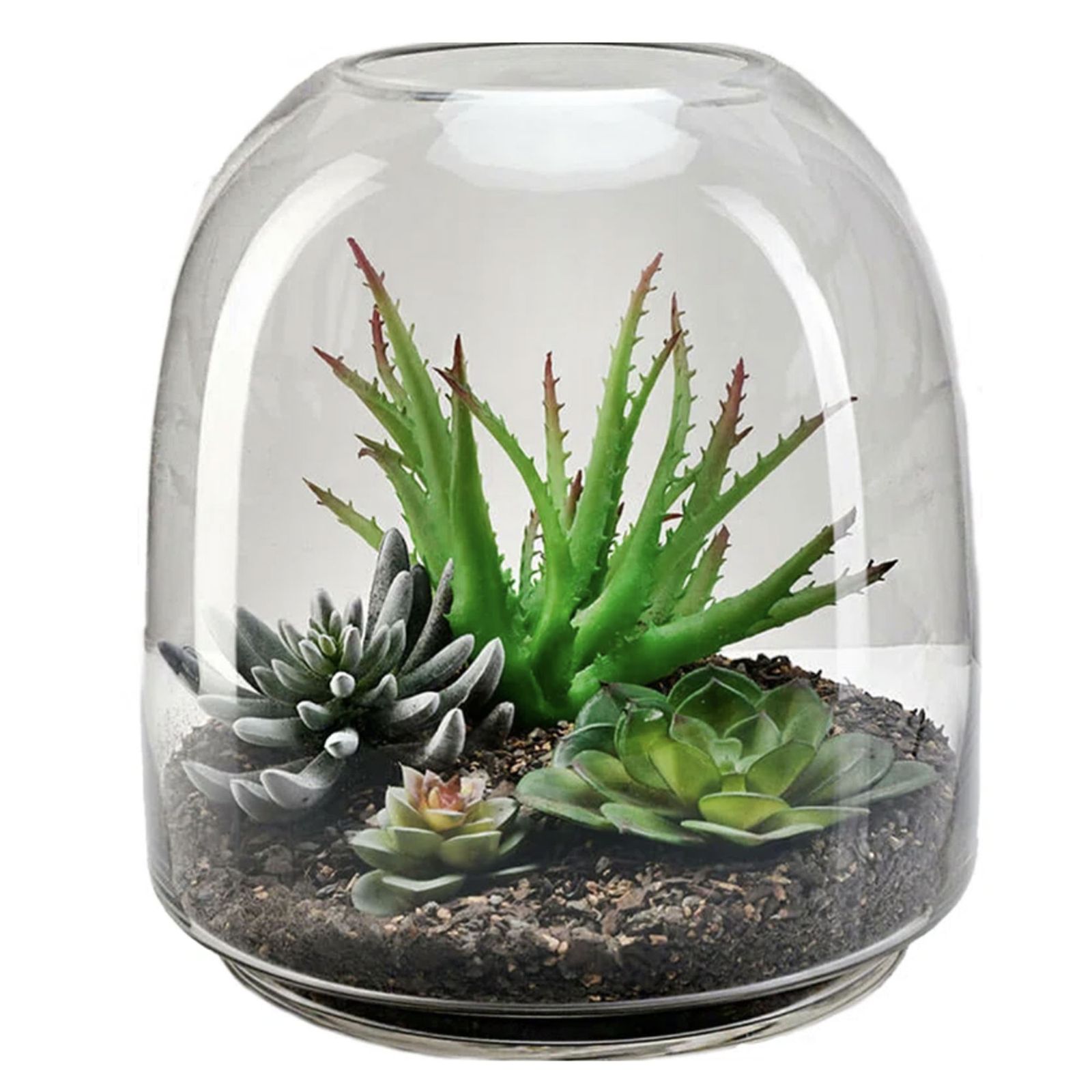 The Christmas terrarium trend is a must-try for plant lovers | Gardeningetc