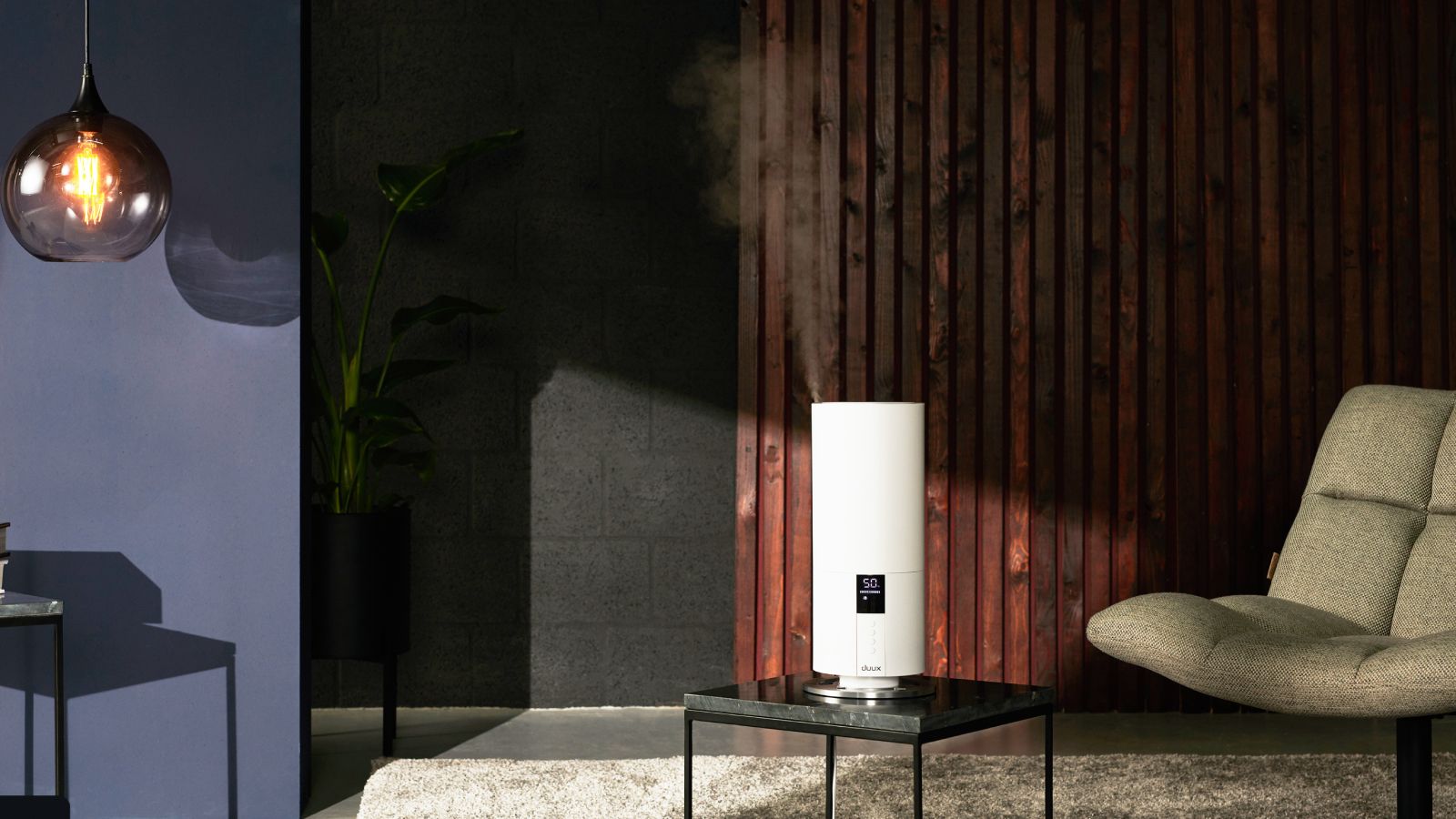 Humidifier vs dehumidifier: Why using the right one is key | Homebuilding