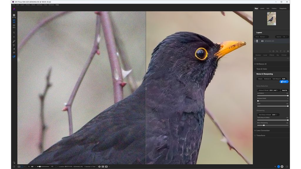 ON1 Photo Raw 2025 review: raw editing without the subscription | Creative Bloq