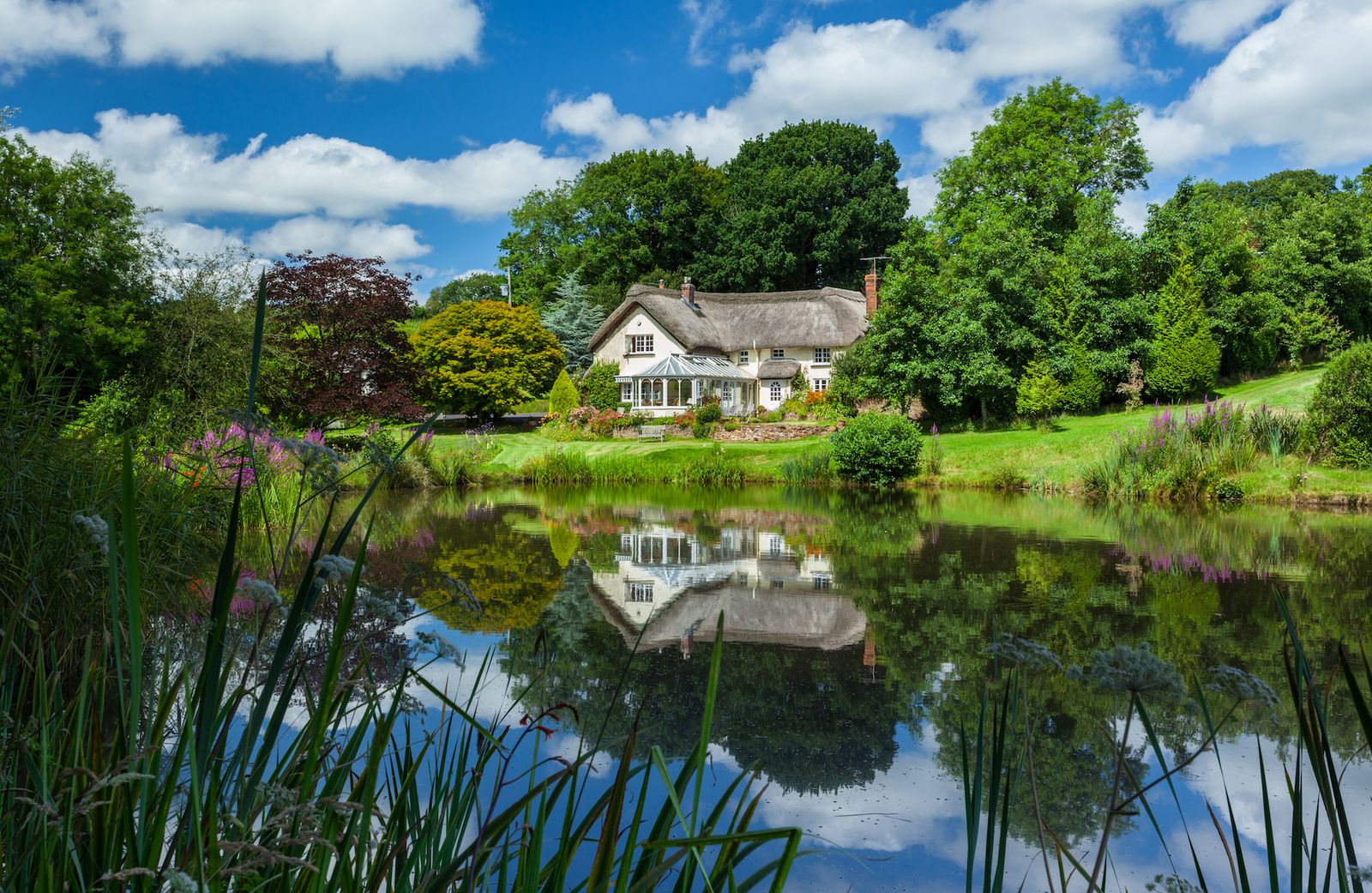 A beautifully remote thatched cottage in Devon with just under 13 acres ...