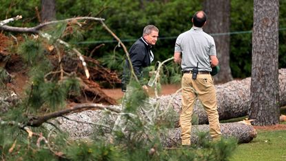 Images Show The Incredible Repair Work At Augusta After Trees Fall Down ...