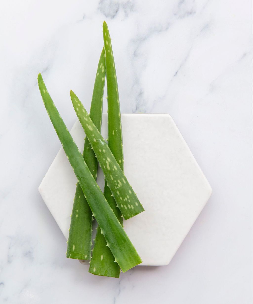 How to propagate aloe vera: 5 simple steps for more plants | Homes and ...