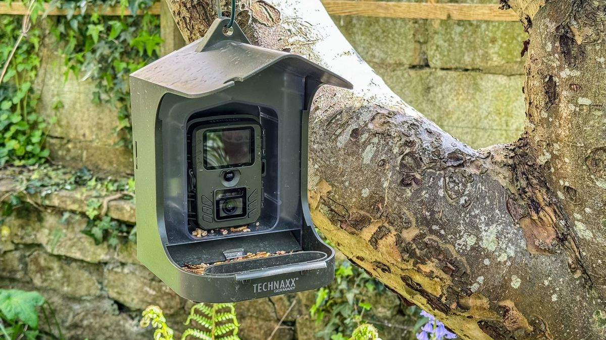 The best bird feeder camera | Digital Camera World