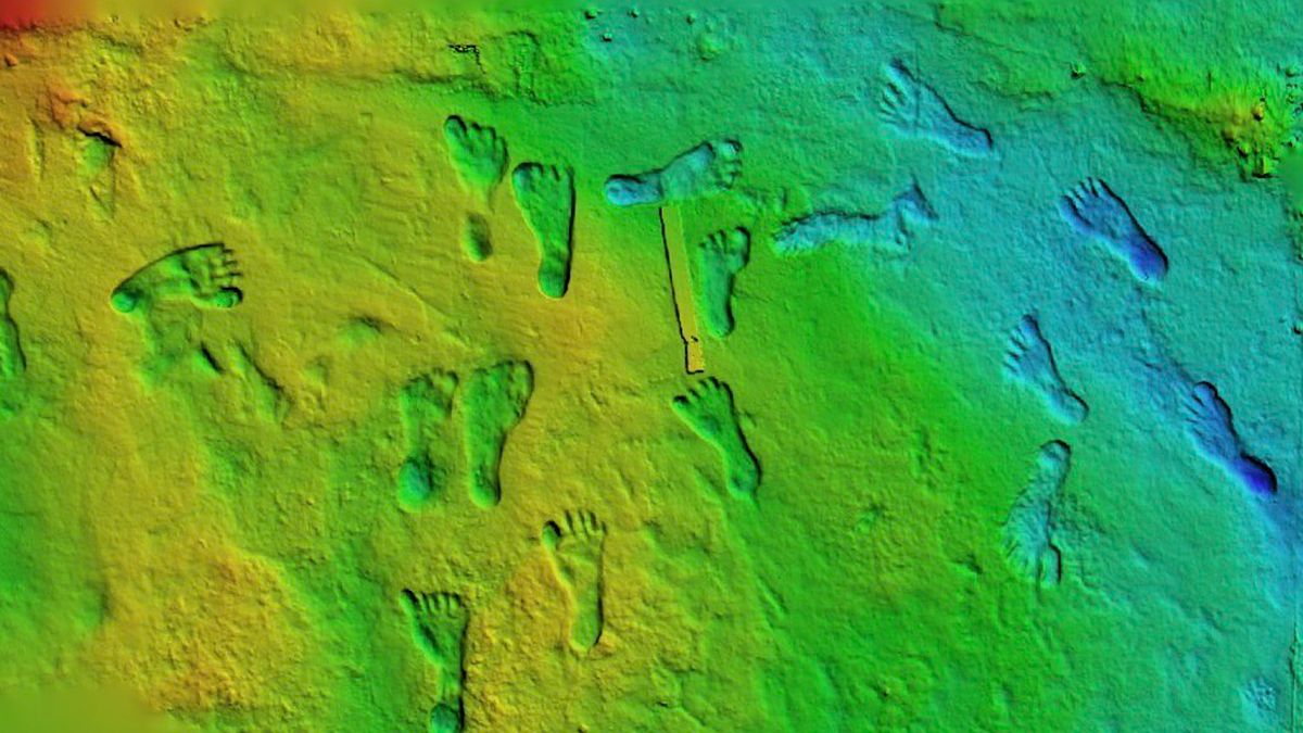 Debate settled? Oldest human footprints in North America really are ...