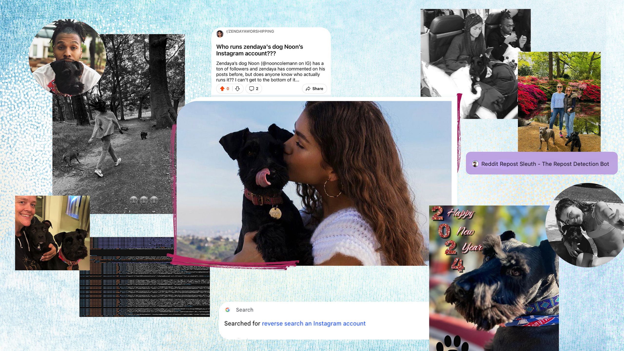 Who Runs @nooncolemann, Zendaya Dog's Instagram? | Marie Claire