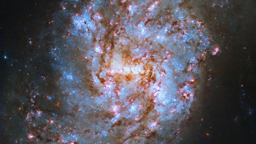 Star-studded snake-like galaxy shines in gorgeous Hubble Telescope photo | Space
