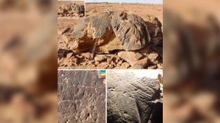 Parade of life-size camel carvings in northern Arabia date to the Stone ...