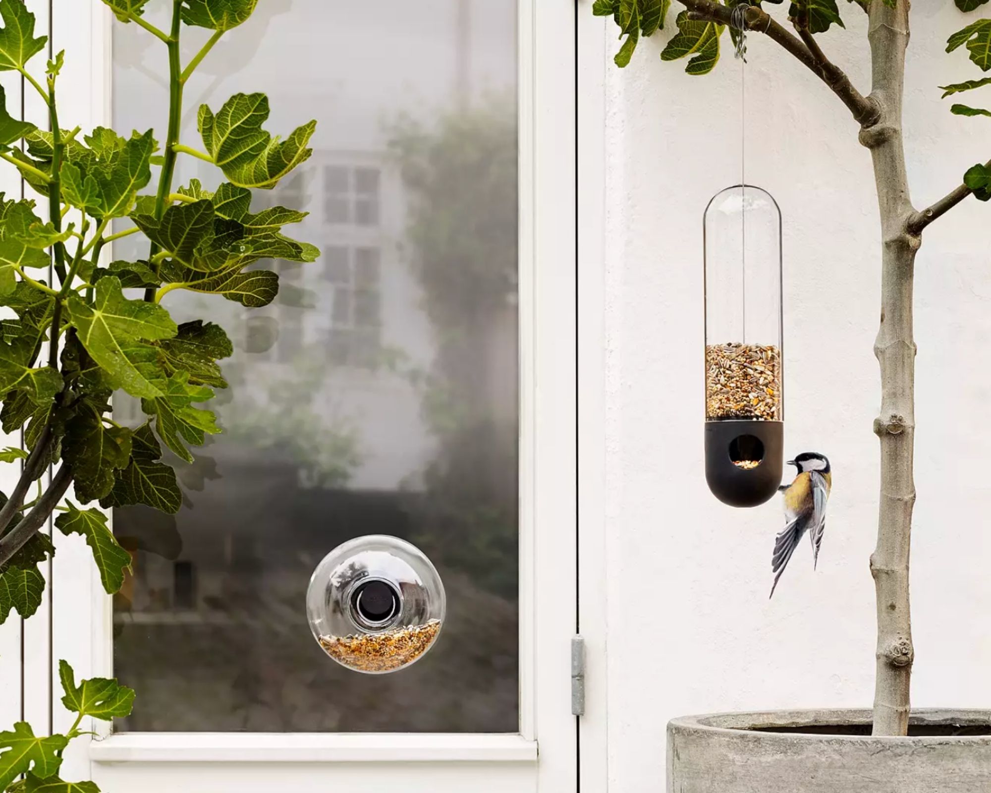 Best bird feeders: stylish, practical designs to attract feathered ...