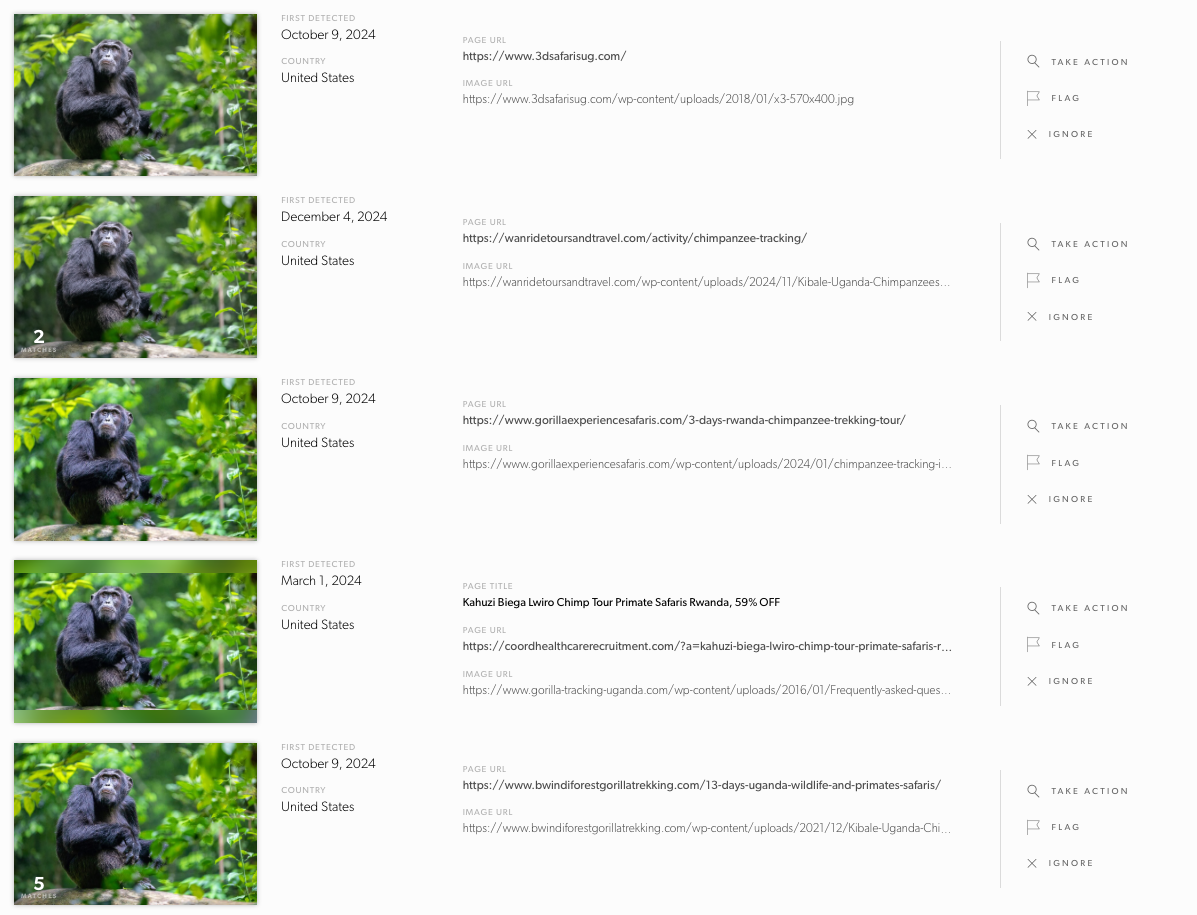 People stealing my favorite chimpanzee photo makes me furious – here’s ...