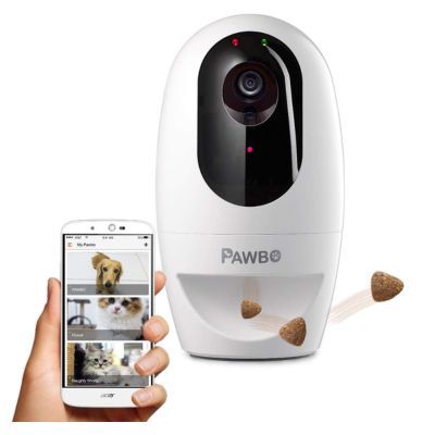 Best automatic laser cat toys: The top cat chasing devices | PetsRadar