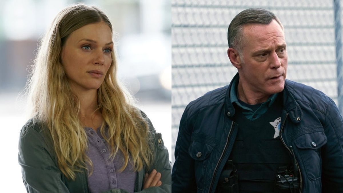 Chicago P.D.: Who Will Take The Fall For Roy's Murder In Season 9 ...