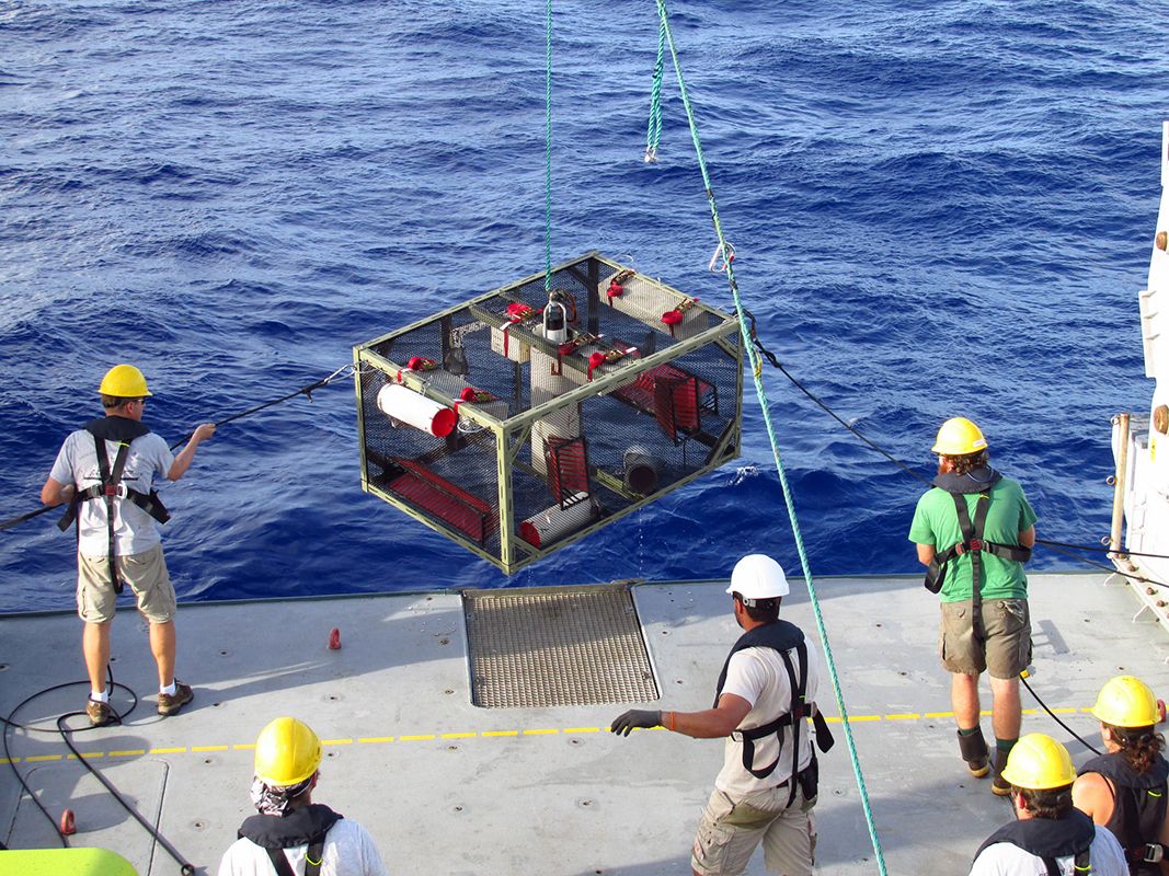 Now, That's Deep! Mariana Trench Fish Lives 5 Miles Down | Live Science