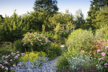 Rose garden ideas: 14 rose gardens to inspire | Homes and Gardens
